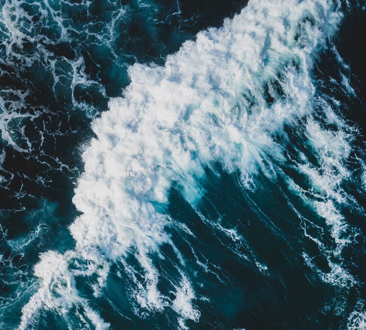 An Ocean of Promises: What the Sea Teaches Us about God - Blessed Is She