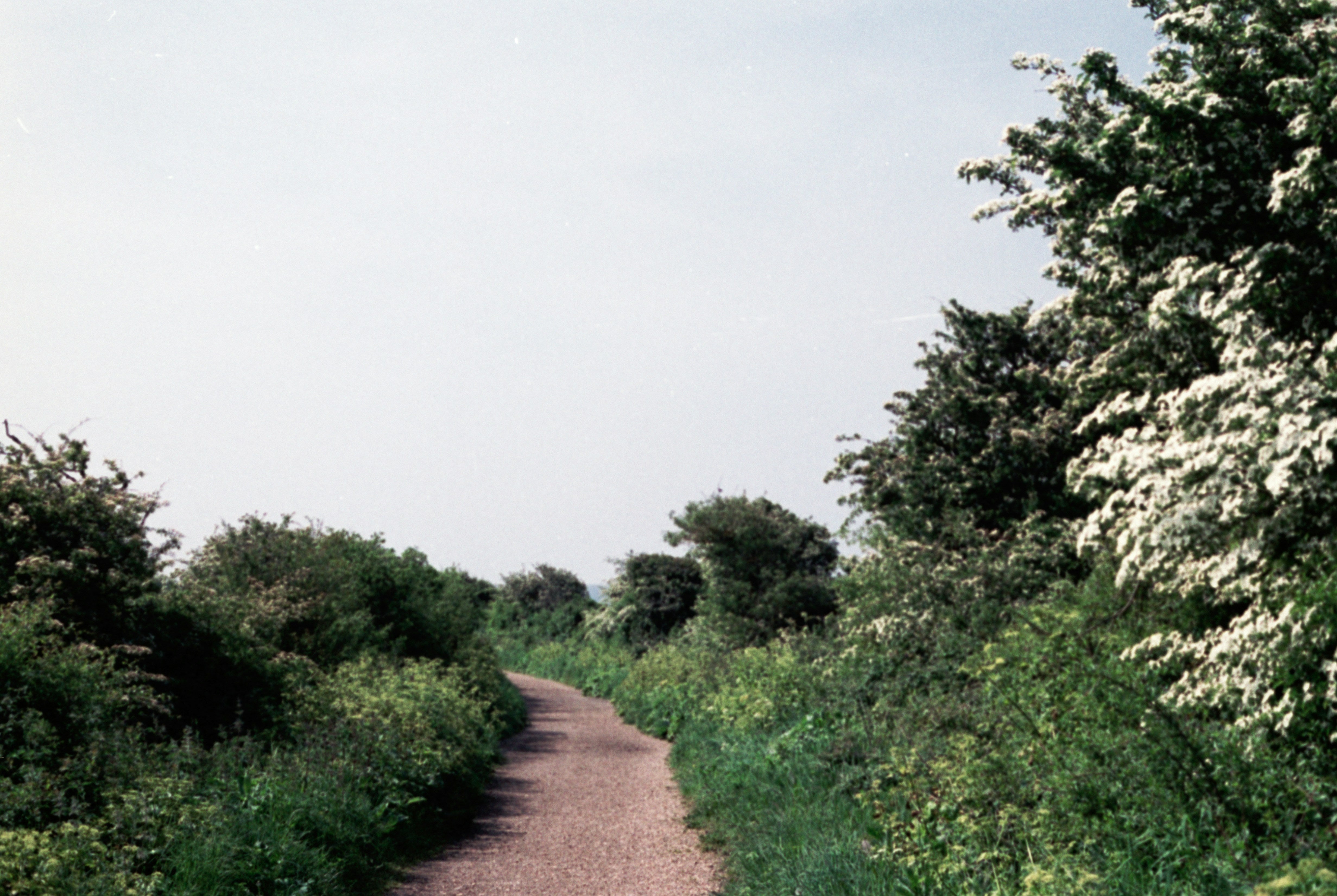 A Pathway to Intimacy with the Good Shepherd - Blessed Is She