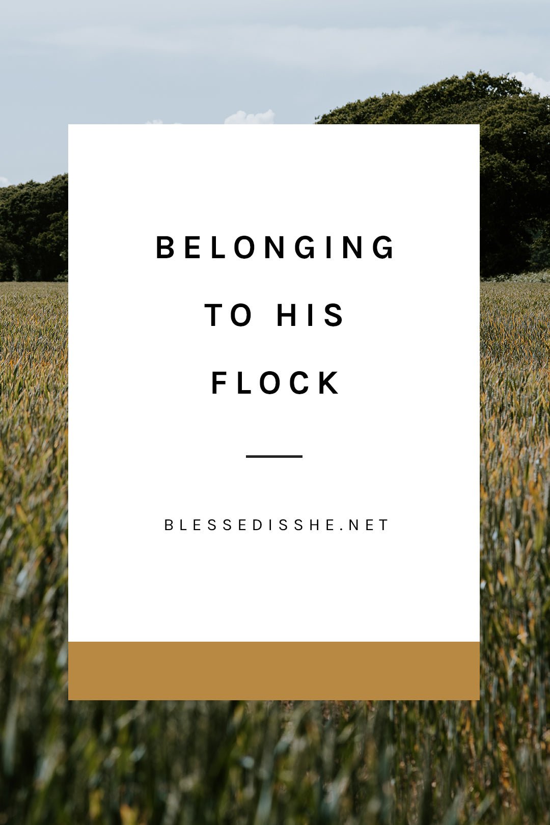 We are Sheep, Belonging to His Flock | Blessed is She – Blessed Is She