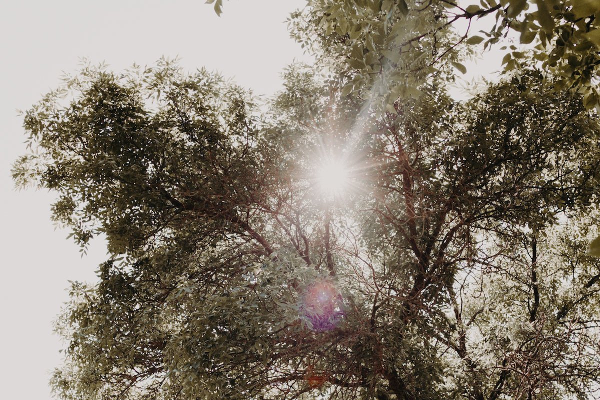 BIS Reviews: The New Fatima Movie | Blessed is She - Blessed Is She