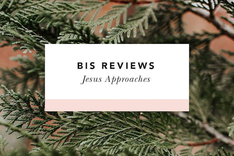 Jesus Approaches Review: Learning from Women in the New Testament ...